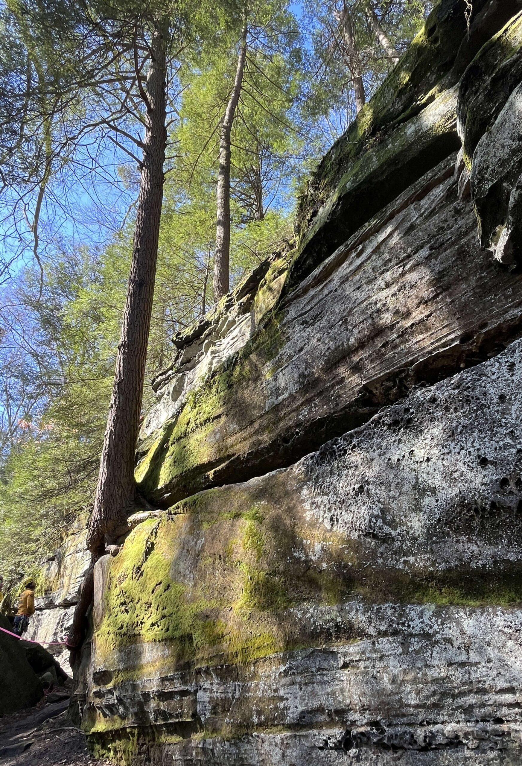 The Ledges Trail at Cuyahoga Valley National Park - At Yarn's Length